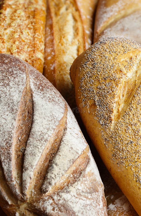 Bread stock photo. Image of food, freshness, bread, close - 22887384