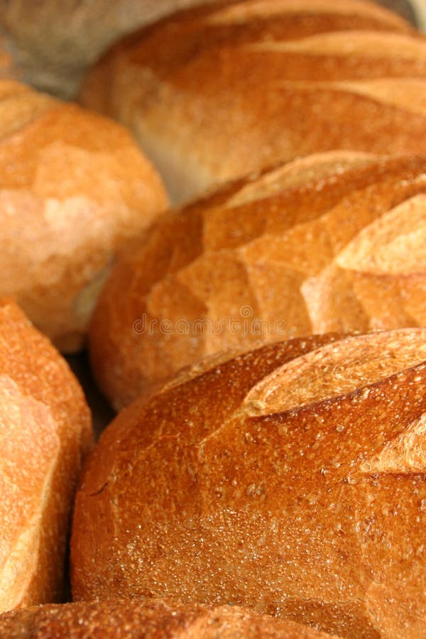 Bread stock image. Image of corn, dinner, baker, bagels - 2139633