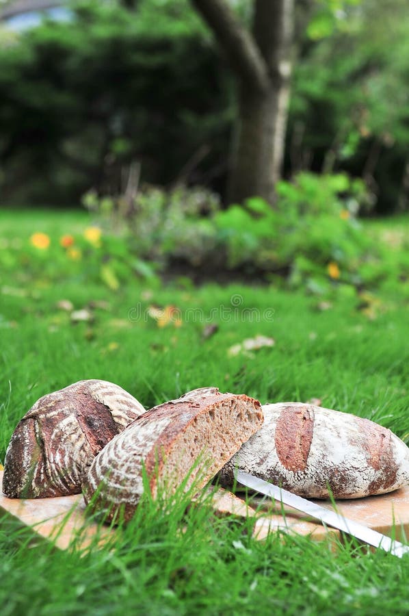 Bread stock photo. Image of grain, outside, displayed - 20148894