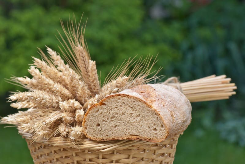 Bread stock image. Image of food, grain, sheaf, farming - 29339023