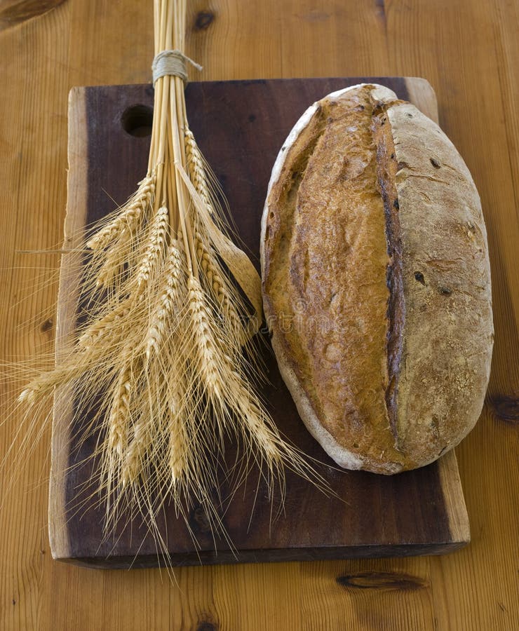 Bundle of Wheat stock photo. Image of grain, fertility - 5043246