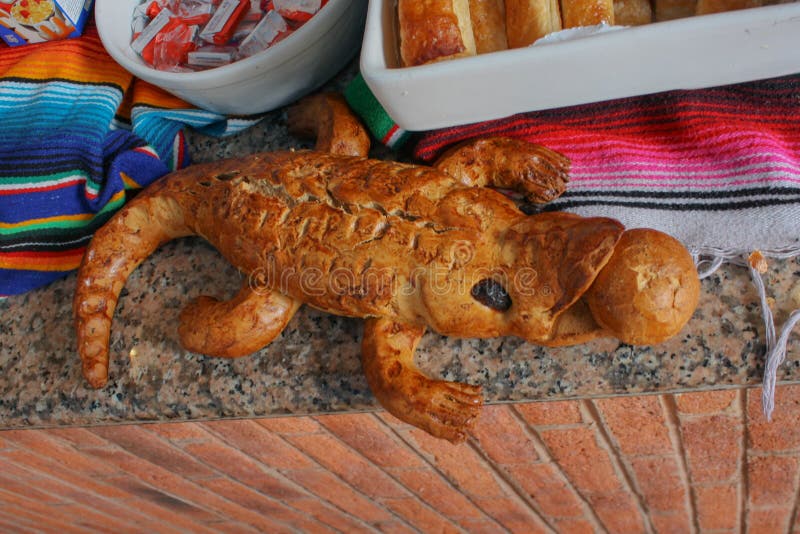 Bread Alligater stock photo. Image of fresh, beautiful - 71687860