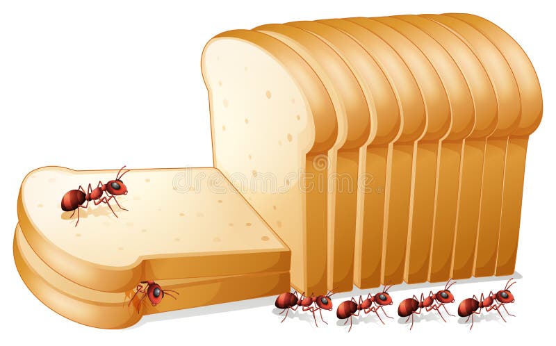 Bread and ants stock vector. Illustration of breakfast - 43863900