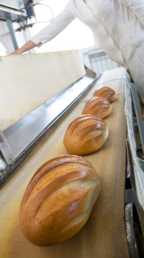 Loafs of Bread in the Factory Stock Image - Image of brown, bread: 18931857