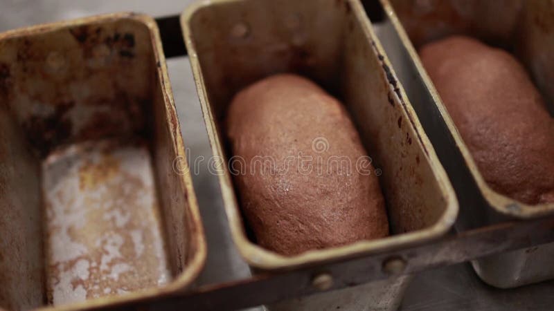 Bread Bakery. Chef Puts the Dough in a Rectangular Shape for Baking ...