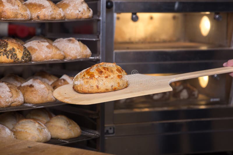 Bread in bakery stock image. Image of bread, snack, cooking - 254941269