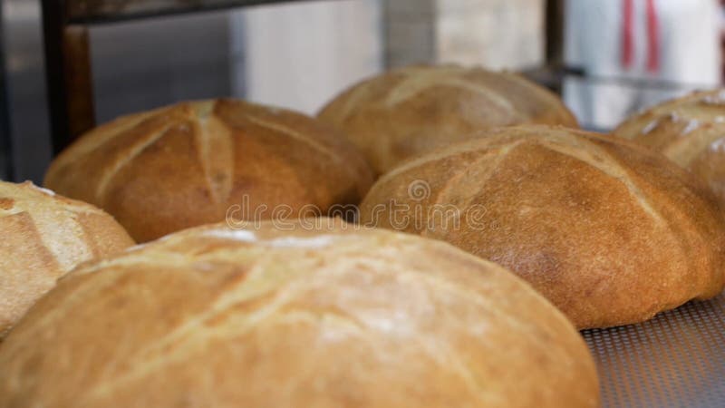 Bread Bakery. Fresh Round Bread Close Up Stock Footage - Video of ...