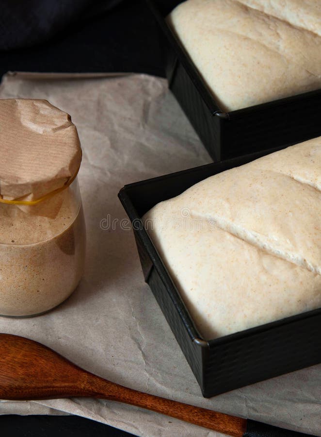 Leaven close-up stock image. Image of healthy, flour - 111732945