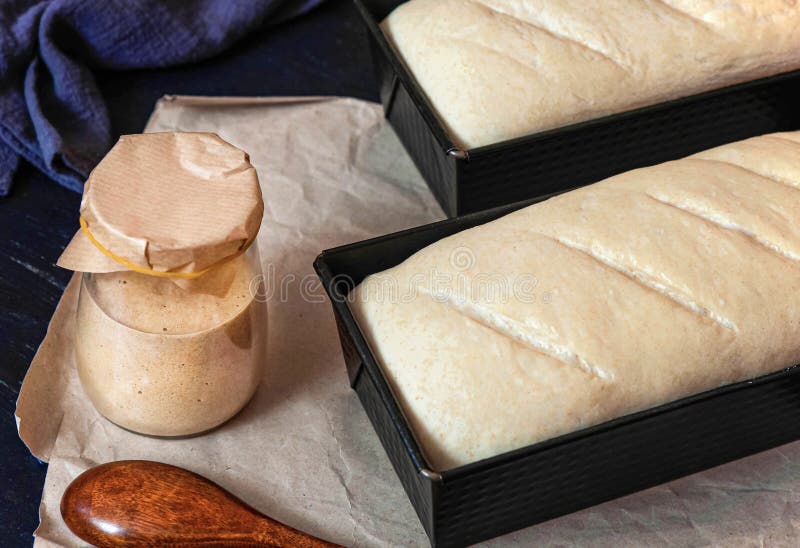 Bread before Baking with Leaven. Rye Leaven for Bread is Active Stock ...