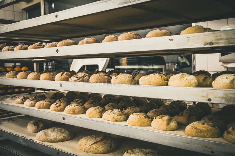Bread Blanks on Large Baking Sheets, Prepared for Baking in a Bakery ...