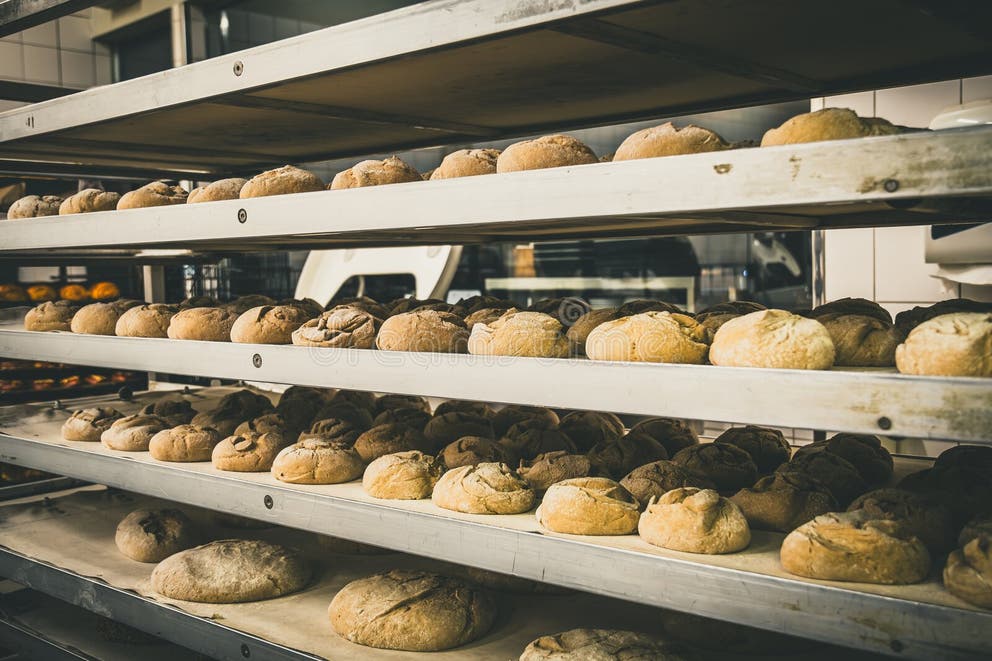 Bread Blanks on Large Baking Sheets, Prepared for Baking in a Bakery ...