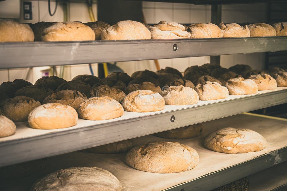 Bread Blanks on Large Baking Sheets, Prepared for Baking in a Bakery ...