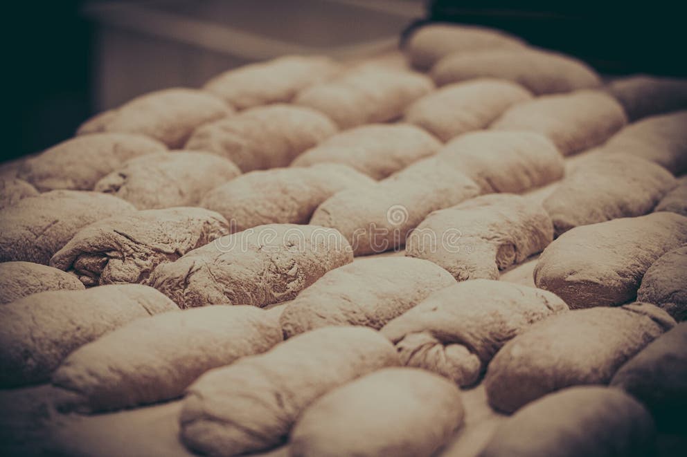 Bread Blanks on Large Baking Sheets, Prepared for Baking in a Bakery ...