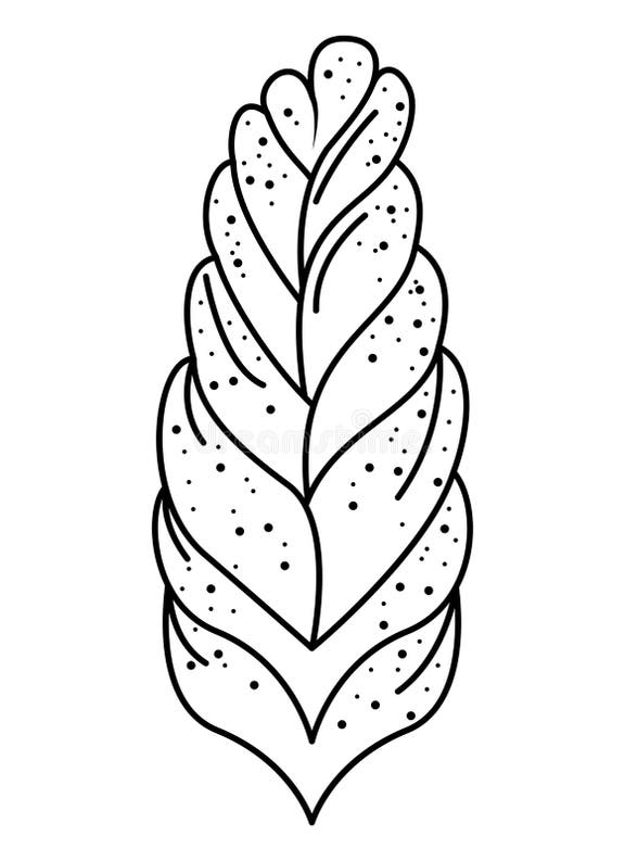 Bread of braid stock vector. Illustration of vector - 269547159