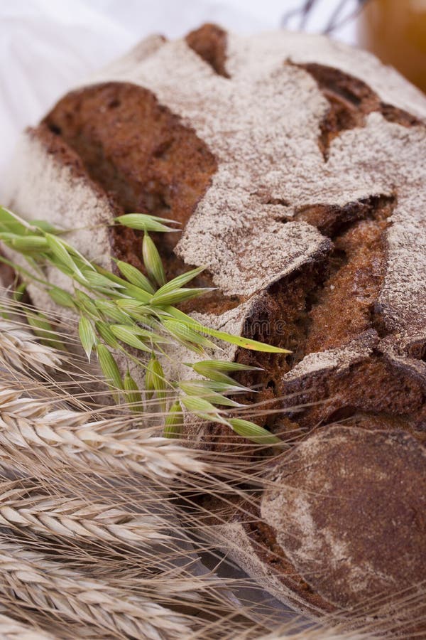 Bread stock photo. Image of cooked, baked, bread, food - 32404670