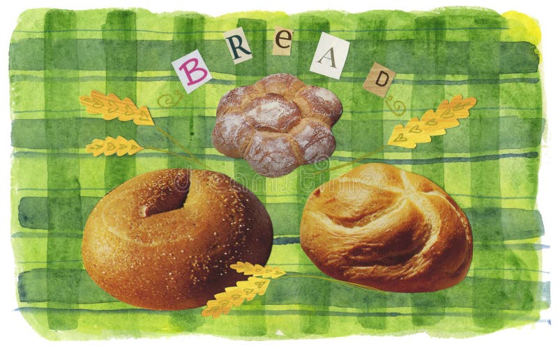 Bread - collage stock vector. Illustration of wheat, bled - 5684349