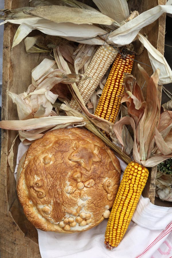 Bread and a corn cobs stock photo. Image of chopping - 83751458