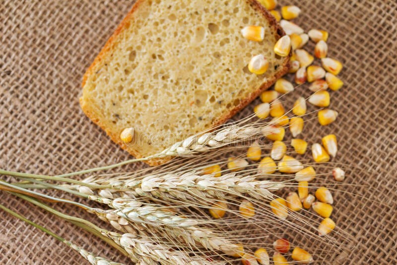 Bread and corn stock image. Image of nature, basket, breakfast - 1882569