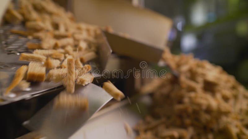 Bread Crackers on the Conveyor. the Process of Making Crackers. Cracker ...