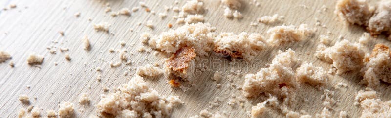 Bread Crumbs on a Wooden Table Stock Photo - Image of fresh, crust ...