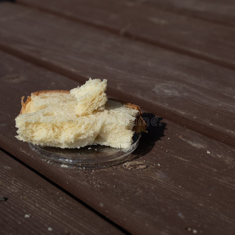 Broken Piece of Bread on a Wooden Table Stock Image - Image of croutons ...