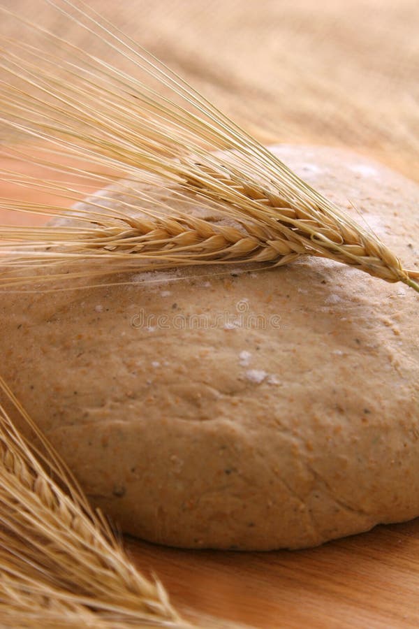 Bread dough stock photo. Image of fiber, bake, crust - 14081448
