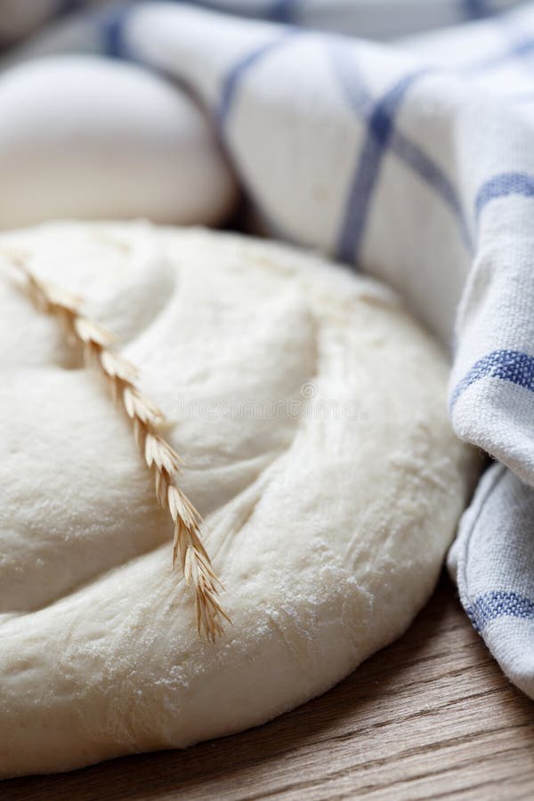 Bread dough stock photo. Image of dough, food, bakery - 27254596