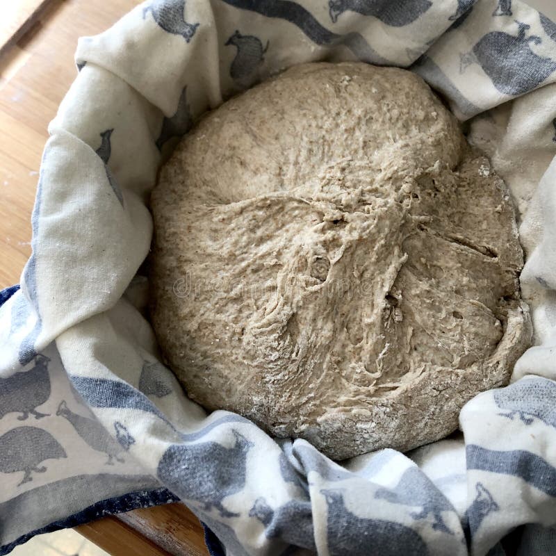 Bread dough stock photo. Image of homemade, food, cooking - 244530766