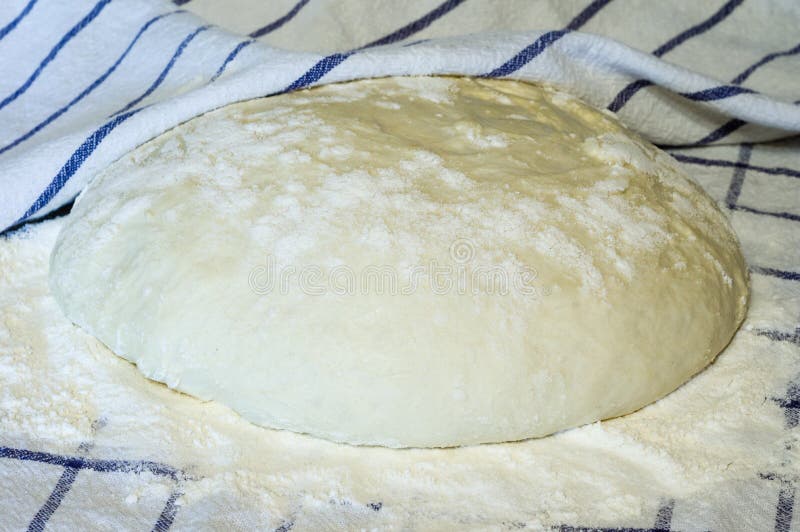 Bread Dough Kneaded Ready To Rise Stock Image - Image of grains, white ...