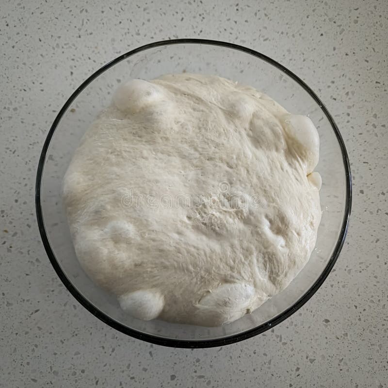 Bread Dough Kneading and Proofing Stock Image - Image of baking ...