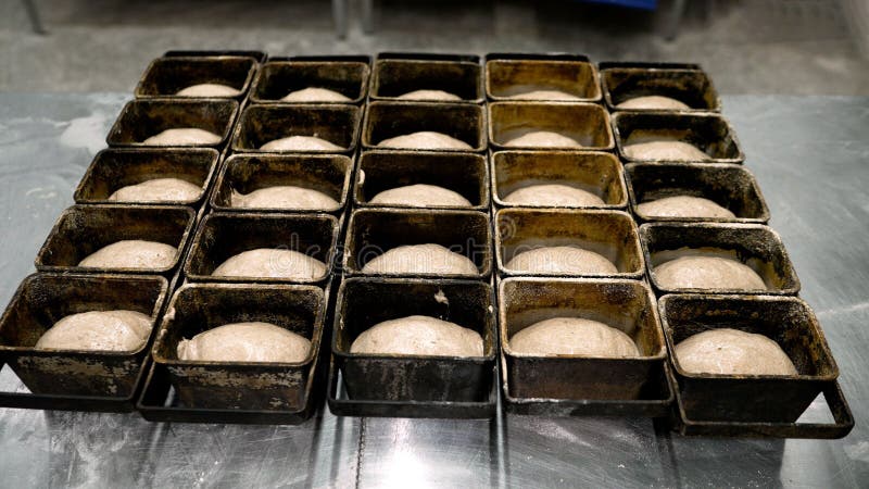 Bread Dough Rising in Baking Pans in Bakery Kitchen Stock Photo - Image ...
