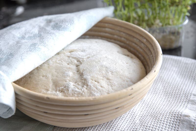 Bread Dough Rising in Basket, Home Made Stock Image - Image of home ...