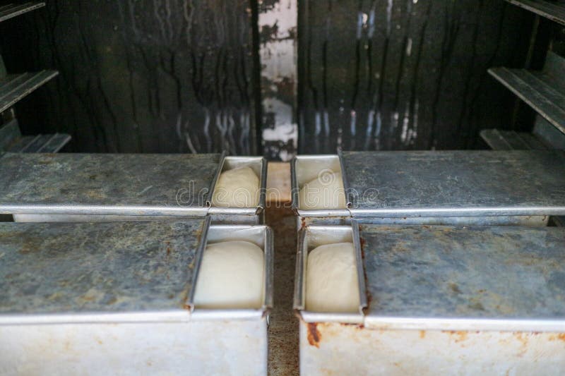 Bread Dough in the Rising Cabinet Stock Image - Image of preparation ...