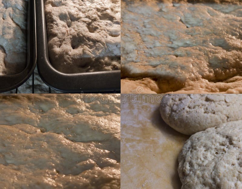 Bread dough rising stock image. Image of healthy, italian - 166308357