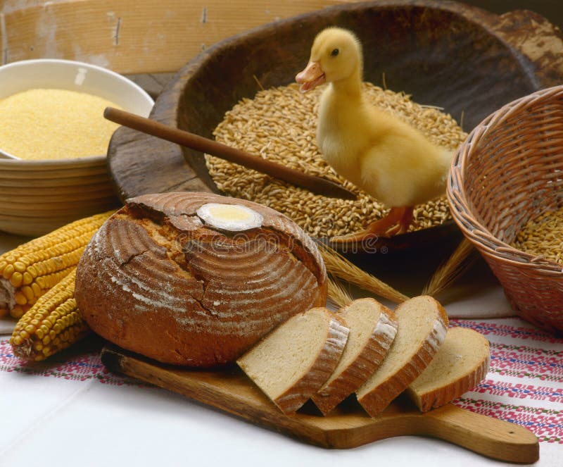 Bread and Duck stock photo. Image of flavored, edible - 2312962
