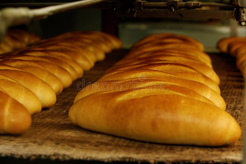 Bread factory production stock image. Image of industry - 17480083