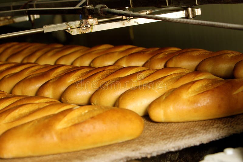 Bread Factory, Production Line Stock Photo - Image of meal, industry ...