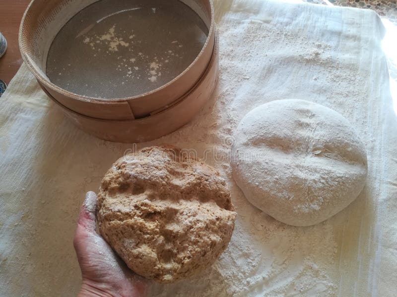 Bread Forms Kneaded Ready for the Oven Stock Image - Image of food ...