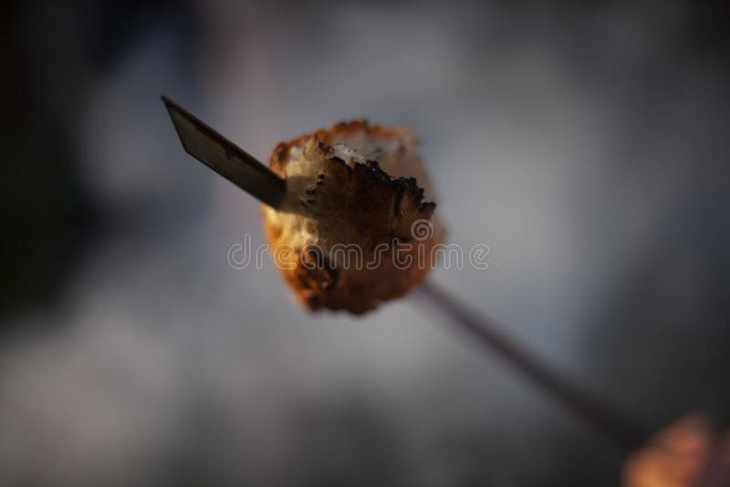 The Bread is Fried Over a Fire. Stock Image - Image of food, campfire ...
