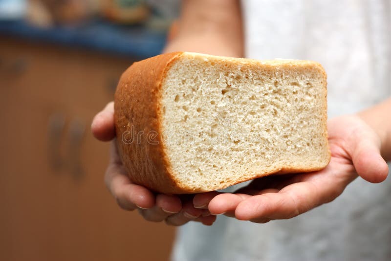 Bread in hands. stock image. Image of vegetarian, plant - 15986713
