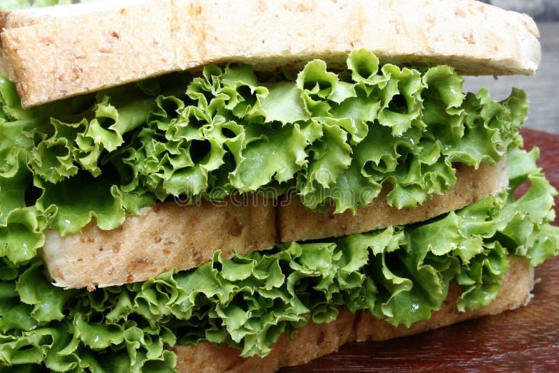 Bread with lettuce leaf stock image. Image of slice, dinner - 40804921