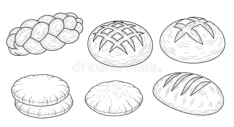 Bread Line Art Collection stock vector. Illustration of drawing - 395409698