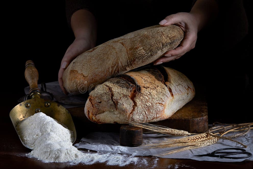 Bread Loaf in Baker Hands stock image. Image of baking - 104091025