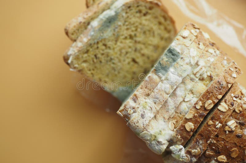 Bread with Mildew. Spoiled Products Stock Photo - Image of poisonous ...