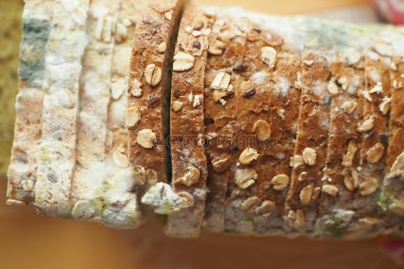 Bread with Mildew. Spoiled Products Stock Photo - Image of danger ...