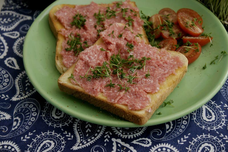 Bread with minced meat stock photo. Image of bread, meat - 112707188
