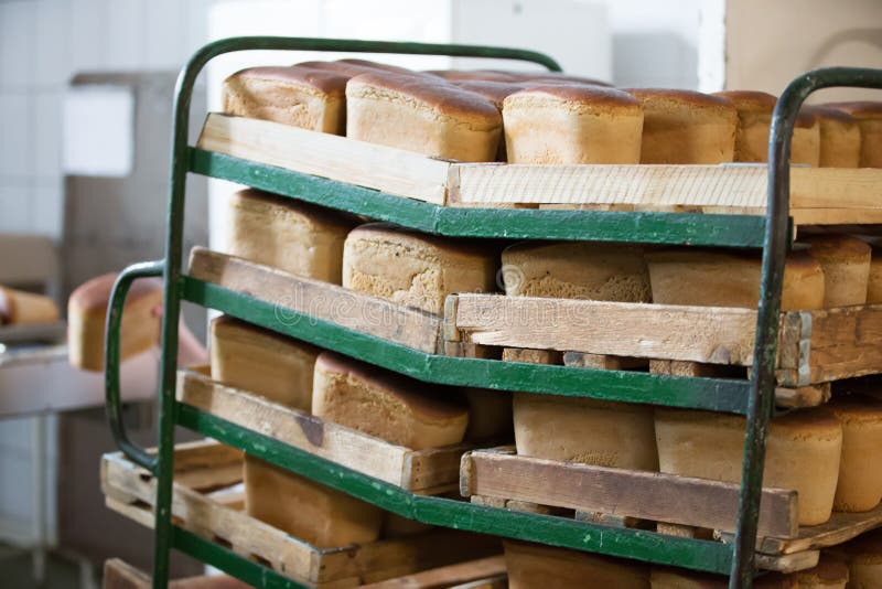 Bread on pallets for sale. stock image. Image of bread - 152525207