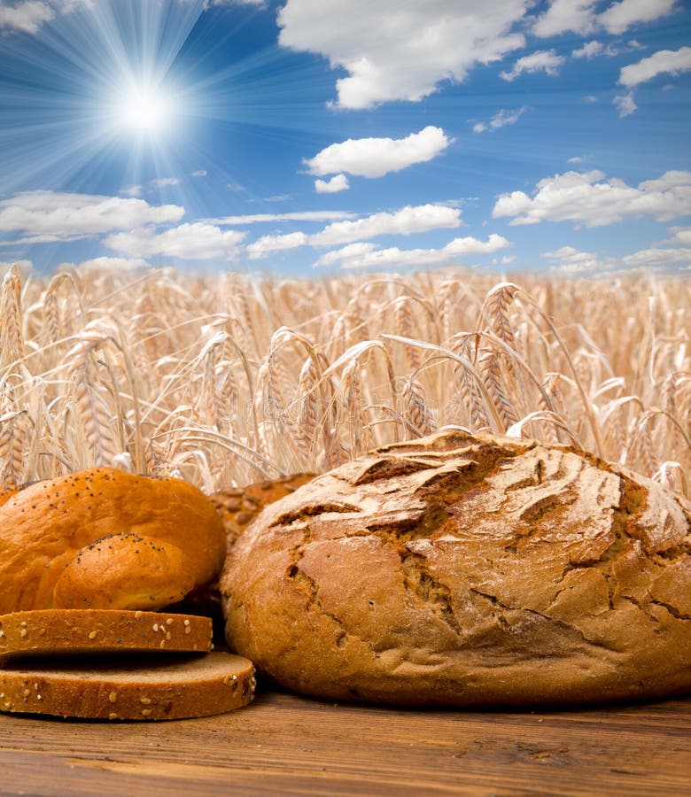 Bread stock photo. Image of cereal, brown, bakery, group - 39308928