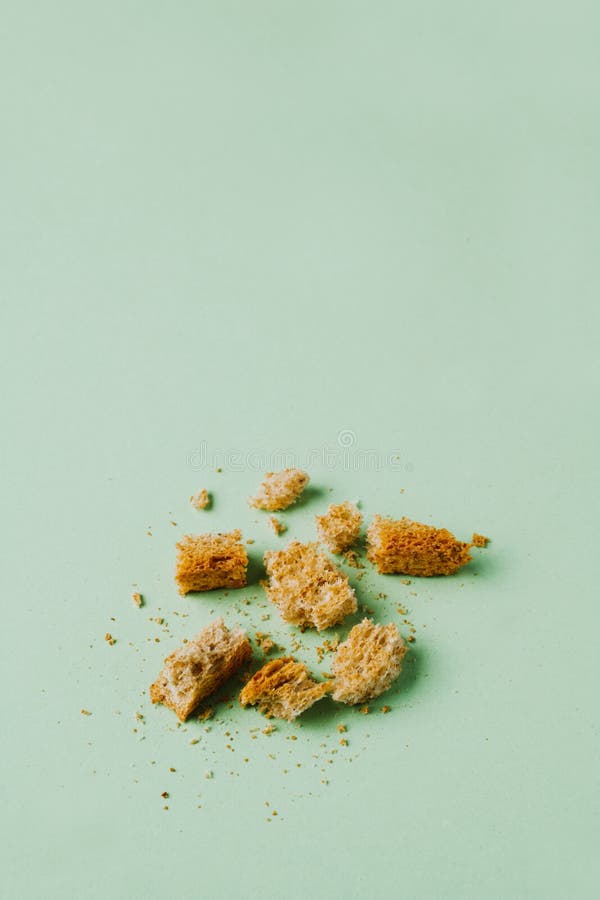 Bread pieces and crumbs stock photo. Image of grain - 247283072