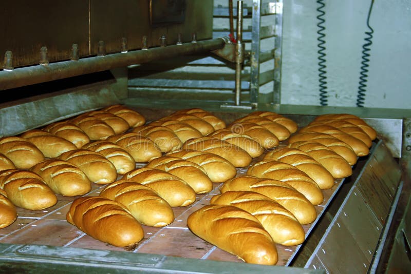 Bread production 4 stock image. Image of breaded, installation - 31950839